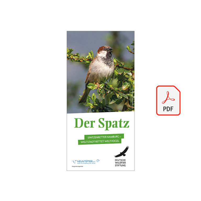 DER SPATZ – VERSTEHEN & ENTDECKEN – Alle Publikationen in Druckformat ...