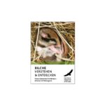 BILCHE VERSTEHEN & ENTDECKEN – Alle Publikationen in Druckformat und ...